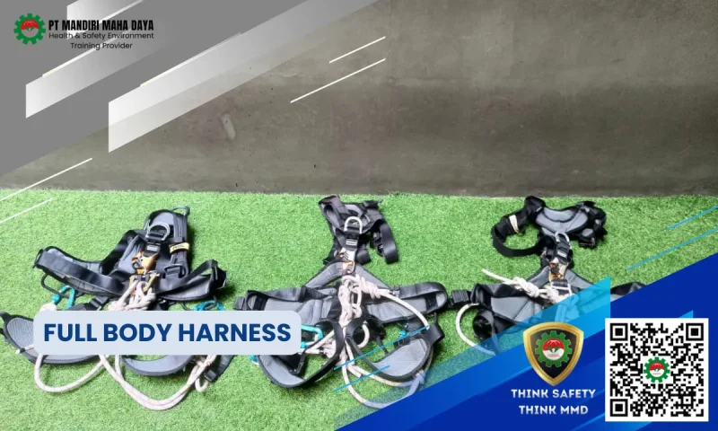 Jenis Full Body Harness: Panduan Keselamatan Kerja